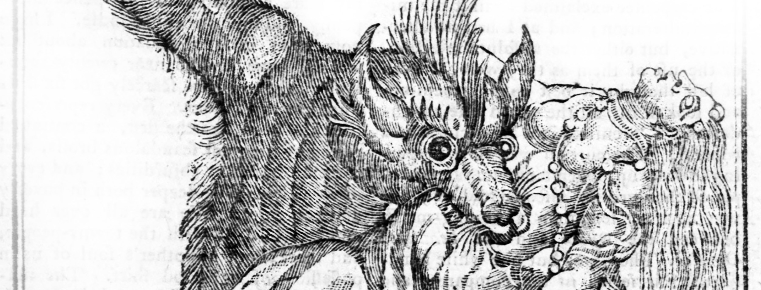 The Rougarou is Gonna Get You: Cajun Folklore | Where Y'at