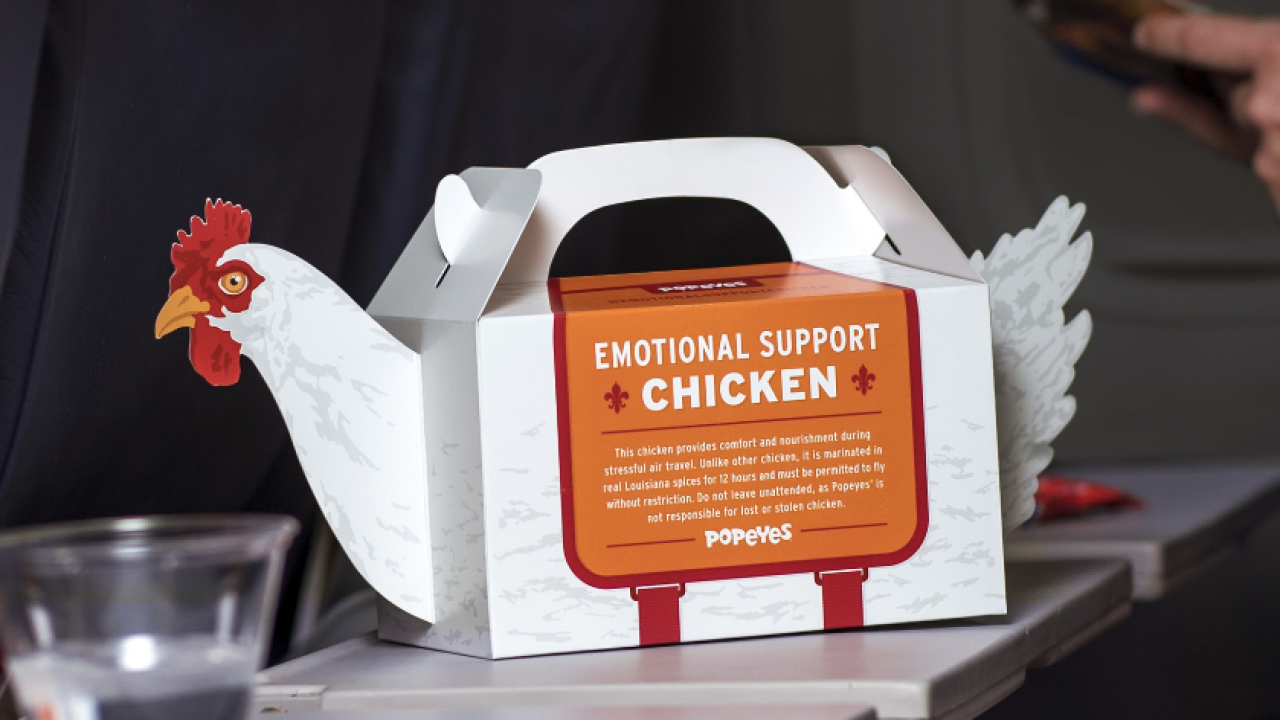 Popeye's Selling "Emotional Support Chicken" to Stressed Out Holiday ...