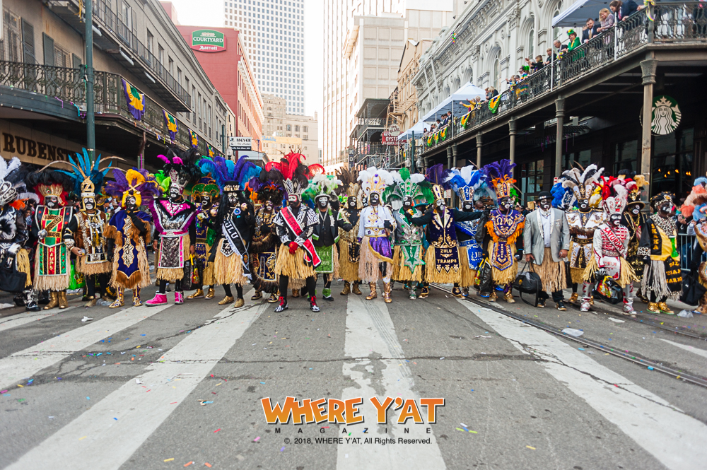 ZULU 2018 | Where Y'at